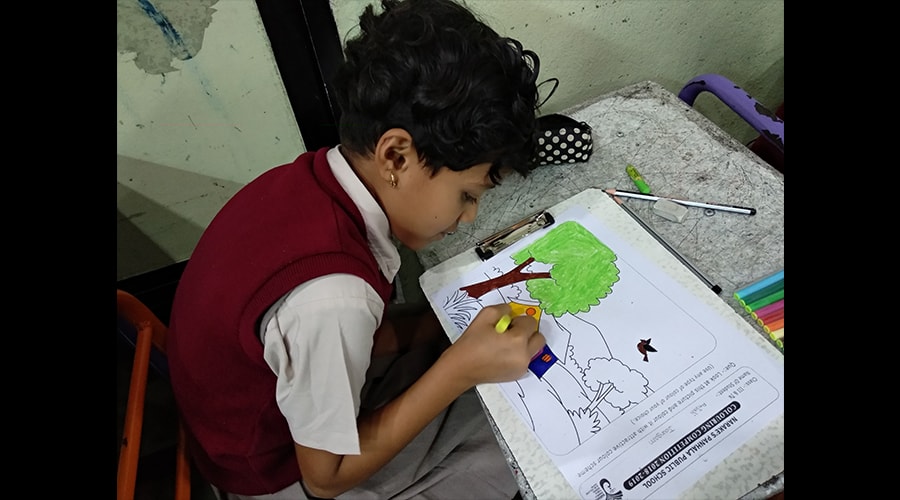 Narake's Panhala Public School & Jr. College | Drawing Competition